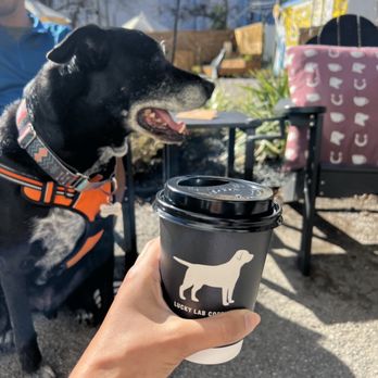 LUCKY LAB COFFEE - Updated March 2025 - 339 Photos & 283 Reviews - 2421 ...