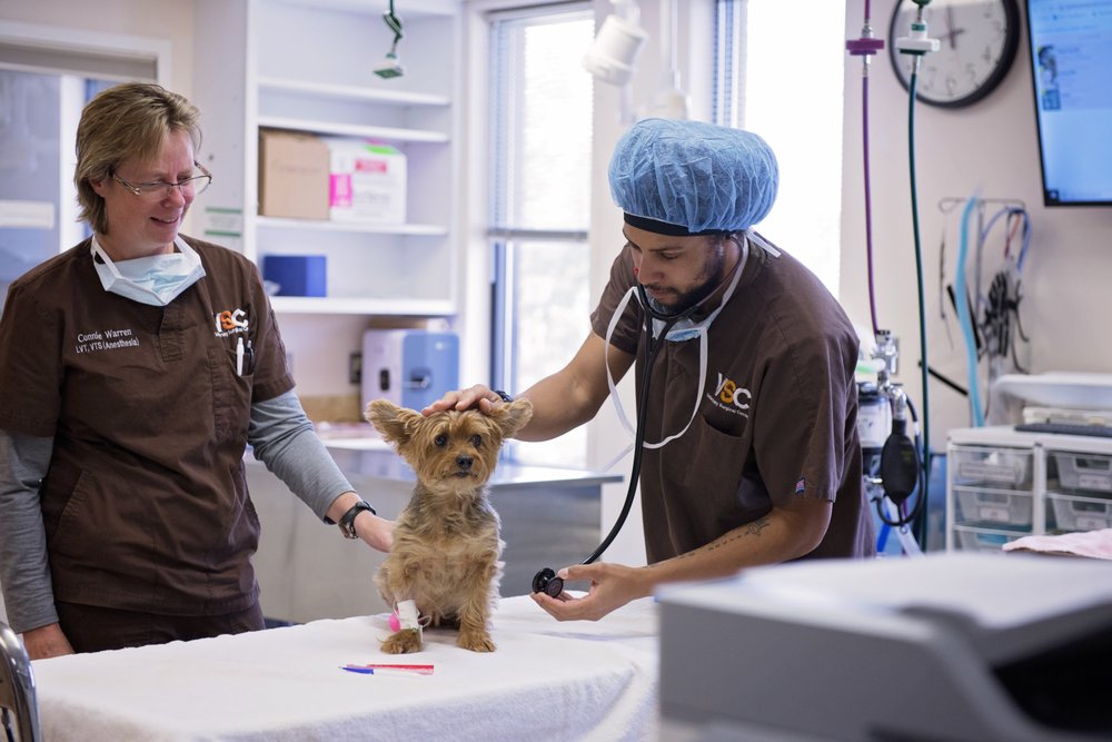 VETERINARY SURGICAL CENTERS - 30 Photos & 72 Reviews - Veterinarians ...