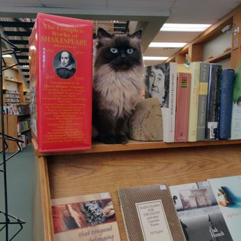 WEE BOOK INN - Updated December 2025 - 28 Photos & 49 Reviews - 10310 ...