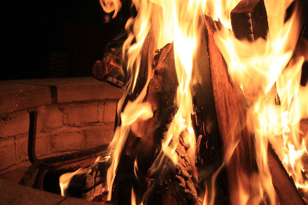 WILD LOGS - FIREWOOD & COOKING WOOD SUPPLIER - Updated December 2025 ...