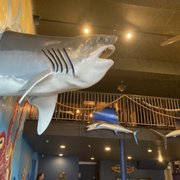 LUKE WHOLEY’S WILD ALASKAN GRILLE - 880 Photos & 580 Reviews - 2106 ...