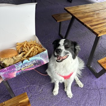 BURGER 3000 - Updated May 2025 - 519 Photos & 609 Reviews - 9846 Mason ...