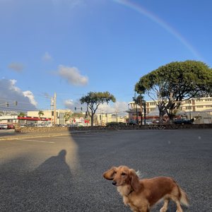 LUNALILO ELEMENTARY SCHOOL - Updated July 2025 - 11 Photos - 810 ...