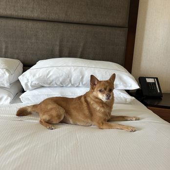 DOUBLETREE BY HILTON HOTEL SAN DIEGO - MISSION VALLEY - Updated January ...