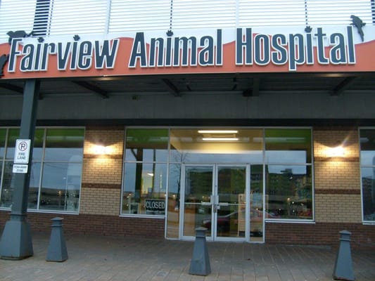 FAIRVIEW ANIMAL HOSPITAL - 24 Photos - Halifax, Nova Scotia ...