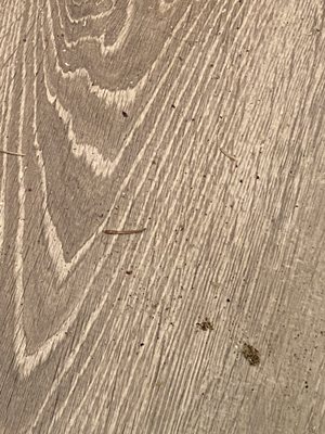 SANDSTONE POINT HOTEL - 134 Photos & 30 Reviews - 3373 SW Hwy 101 ...