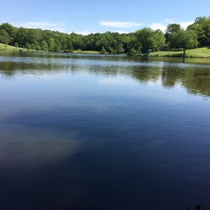 BEE TREE PARK - 57 Photos & 15 Reviews - 2701 Finestown Rd, Saint Louis ...