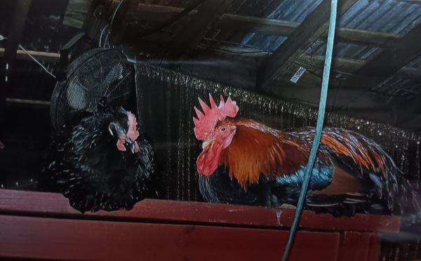 BEND GENERAL STORE - Updated October 2025 - 55 Photos & 49 Reviews ...