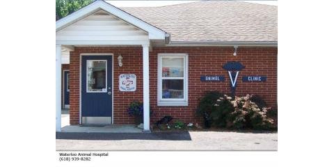 WATERLOO ANIMAL HOSPITAL - Updated October 2025 - 506 Park St, Waterloo ...