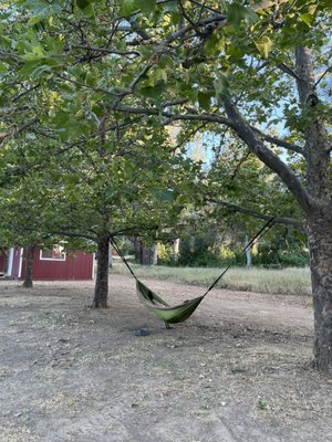 R-WILD HORSE RANCH - Updated September 2025 - 79 Photos & 25 Reviews ...