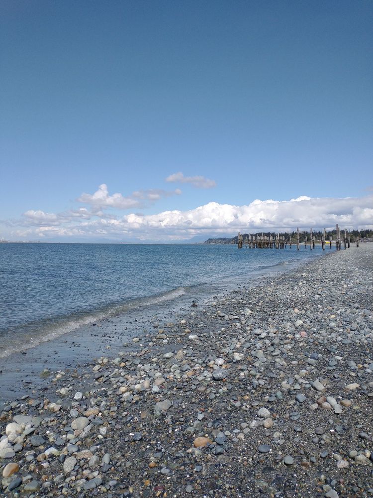 LIGHTHOUSE MARINE PARK - Updated October 2025 - 78 Photos & 12 Reviews ...