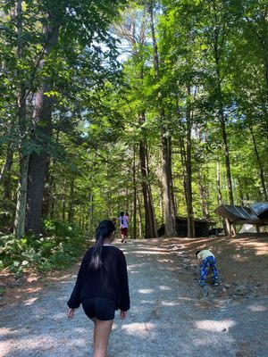 WILGUS STATE PARK - Updated December 2025 - 12 Photos - 3985 Rte 5 ...