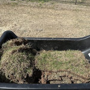 SOIL BUILDING SYSTEMS - Updated July 2025 - 29 Photos - 2101 Walnut ...