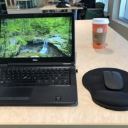 ALVIN SHERMAN LIBRARY - 63 Photos & 22 Reviews - 3100 Ray Ferrero Jr ...