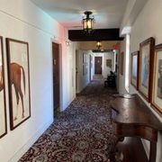 THE CHESHIRE - 295 Photos & 220 Reviews - Hotels - 6300 Clayton Rd, St ...