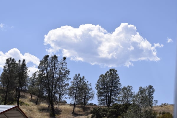 R-WILD HORSE RANCH - Updated May 2024 - 62 Photos & 18 Reviews - 6700 ...