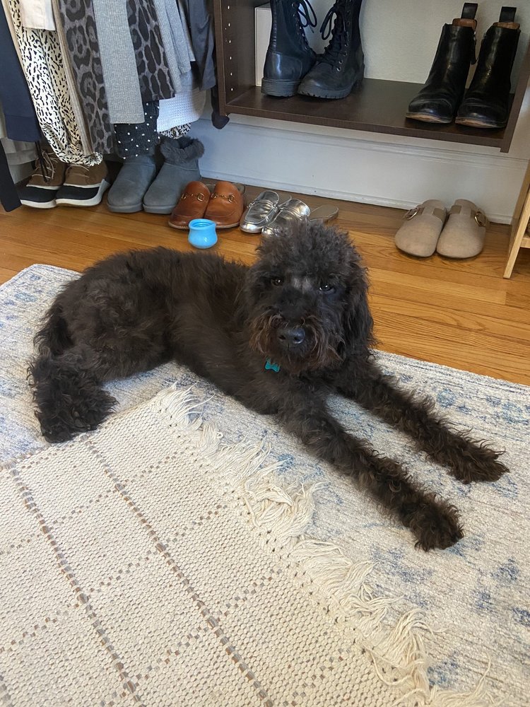 SIT STAY SPA FARGO - Updated November 2025 - 415 32nd Ave E, West Fargo ...