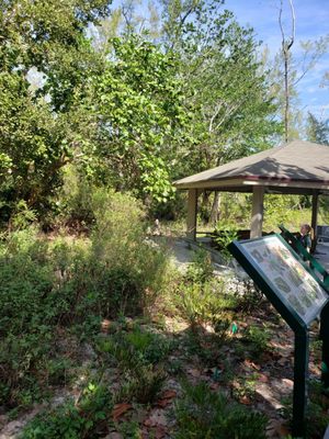 DEERFIELD ISLAND PARK - Updated December 2025 - 100 Photos - 1720 ...