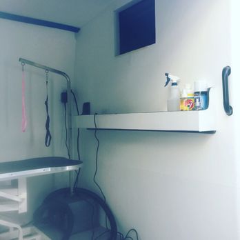 ALLIANCE VAN CONVERSIONS - Updated January 2026 - 59 Photos - 7406 ...