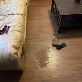 REDPOINT RALEIGH - Updated December 2025 - 40 Photos & 17 Reviews - 10 ...