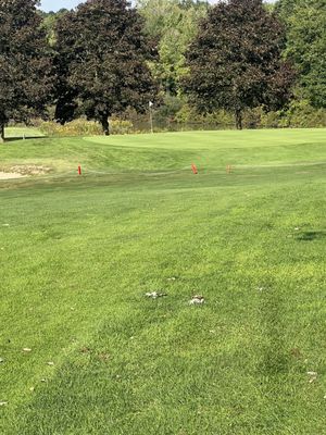 HAWK MEADOWS AT DAMA FARMS - Updated August 2025 - 414 E Marr Rd ...