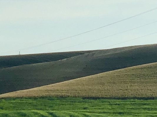 THE PALOUSE SCENIC BYWAY - 14 Photos - 415 N Grand Ave, Pullman, WA - Yelp
