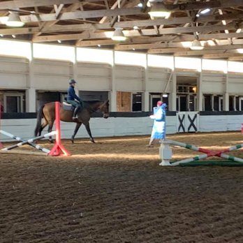 AVON VALLEY SHOW STABLES - Updated November 2025 - 21 Photos & 16 ...