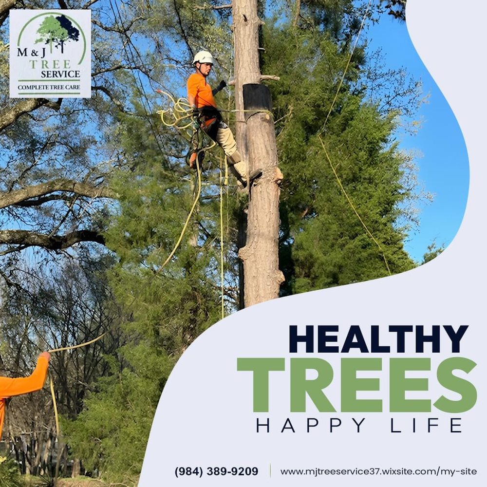 M&J TREE SERVICE - Updated June 2025 - 37 Photos - 9000 Windsong Dr ...