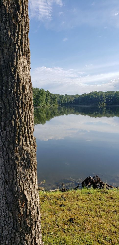 LAKE CAMPALOT - Updated May 2025 - 23 Photos - 13520 Community Lake Rd ...