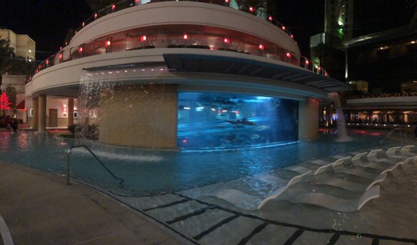 GOLDEN NUGGET POOL - 321 Photos & 180 Reviews - 129 E Fremont St, Las ...