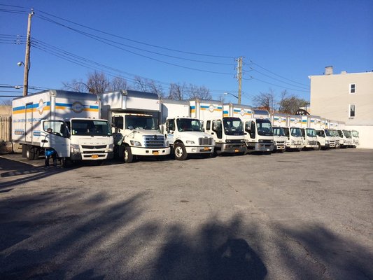 EXCELLENT QUALITY MOVERS INC - Updated July 2025 - 23 Photos - New York ...