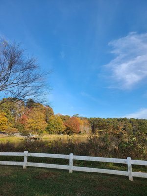 CAUBLE PARK AT ACWORTH BEACH - Updated July 2025 - 50 Photos & 13 ...