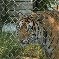 Best Zoos Near Me - October 2025: Find Nearby Zoos Reviews - Yelp