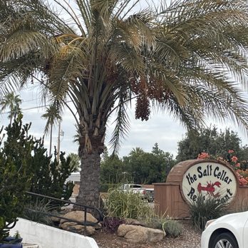 SALT CELLAR - 581 Photos & 890 Reviews - 550 N Hayden Rd, Scottsdale ...