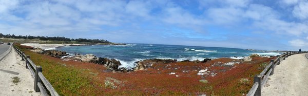 MARINA STATE BEACH - 408 Photos & 80 Reviews - 3001 Lake Dr, Marina, CA ...