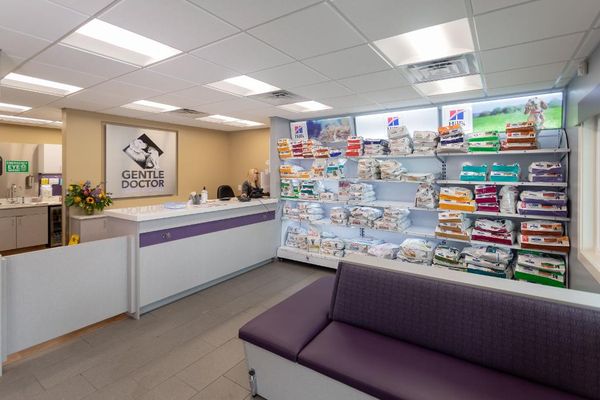 GENTLE DOCTOR ANIMAL HOSPITAL - Updated October 2025 - 128 Photos & 11 ...