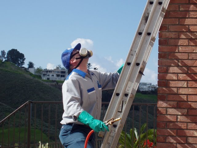 ANTHONY PEST CONTROL - Updated August 2025 - Pasadena, California ...