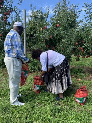 APPLE RIDGE ORCHARDS - Updated August 2024 - 203 Photos & 87 Reviews ...