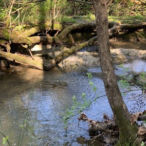 SANDY SPRINGS PARK - 47 Photos - 702 Best St, Maryville, TN - Yelp