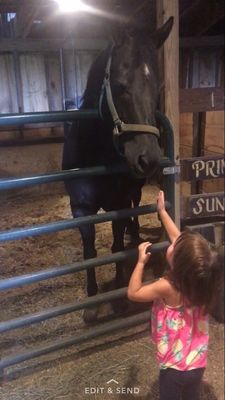 CROSSWIND FARMS - Updated December 2025 - 14435 W Manhattan-Monee Rd, Manhattan, Illinois - Pick ...