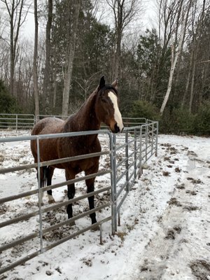 CORNERSTONE RANCH - 47 Photos & 118 Reviews - Horseback Riding - 29 ...