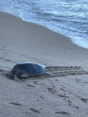 POHAKU PARK S-TURNS - Updated September 2025 - 52 Photos & 15 Reviews ...