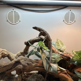 EAST BAY VIVARIUM - Updated July 2024 - 592 Photos & 573 Reviews - 1827 ...