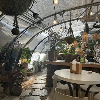 THE GREENHOUSE BAR - Updated November 2024 - 377 Photos & 323 Reviews ...