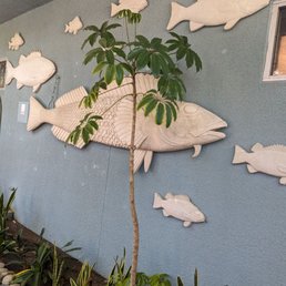 ANTHONY’S FISH GROTTO - Updated July 2025 - 1497 Photos & 1720 Reviews ...