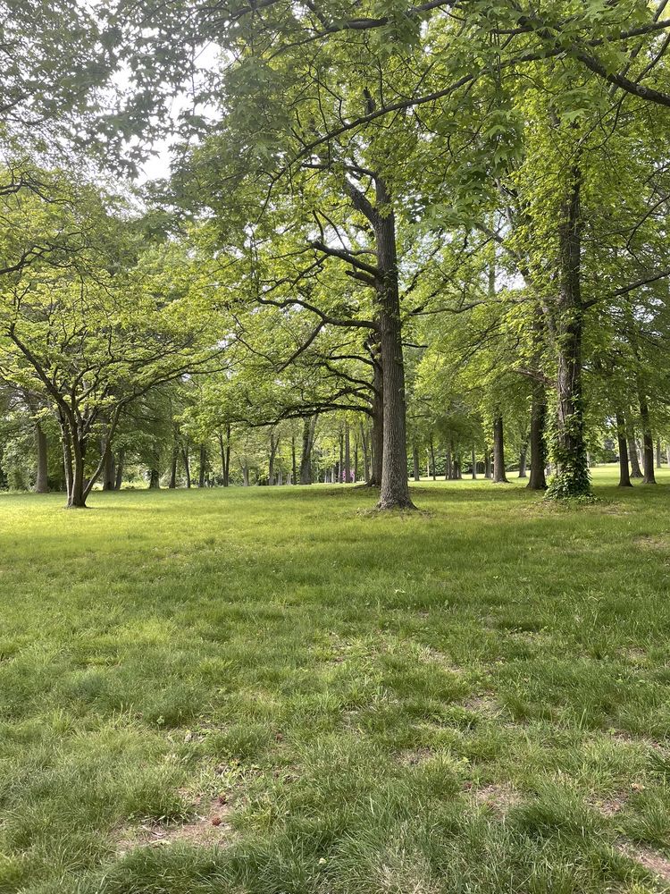 BODMAN PARK - 50 Market St, Red Bank, New Jersey - Parks - Yelp