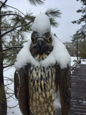 PATHFINDER RANCH - Updated April 2025 - 39 Photos & 19 Reviews - 35510 ...