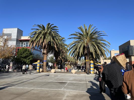 SAN JOSE STATE UNIVERSITY - 350 Photos & 326 Reviews - 1 Washington Sq ...