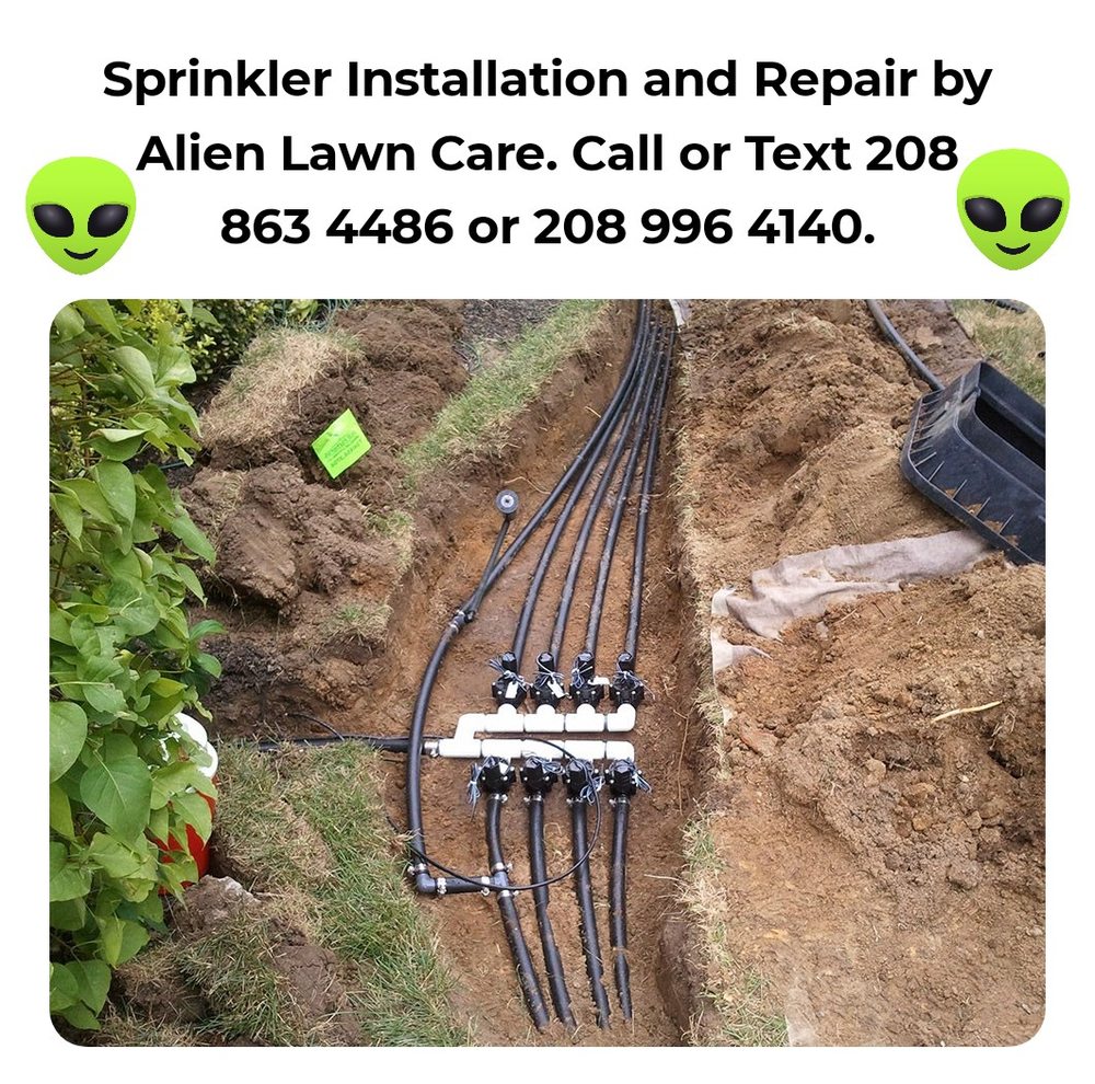 ALIEN LAWN CARE AND LANDSCAPE - Updated July 2025 - Nampa, Idaho - Lawn ...