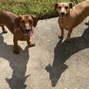 FAIRMONT PET HOSPITAL - Updated August 2025 - 13 Photos & 46 Reviews ...